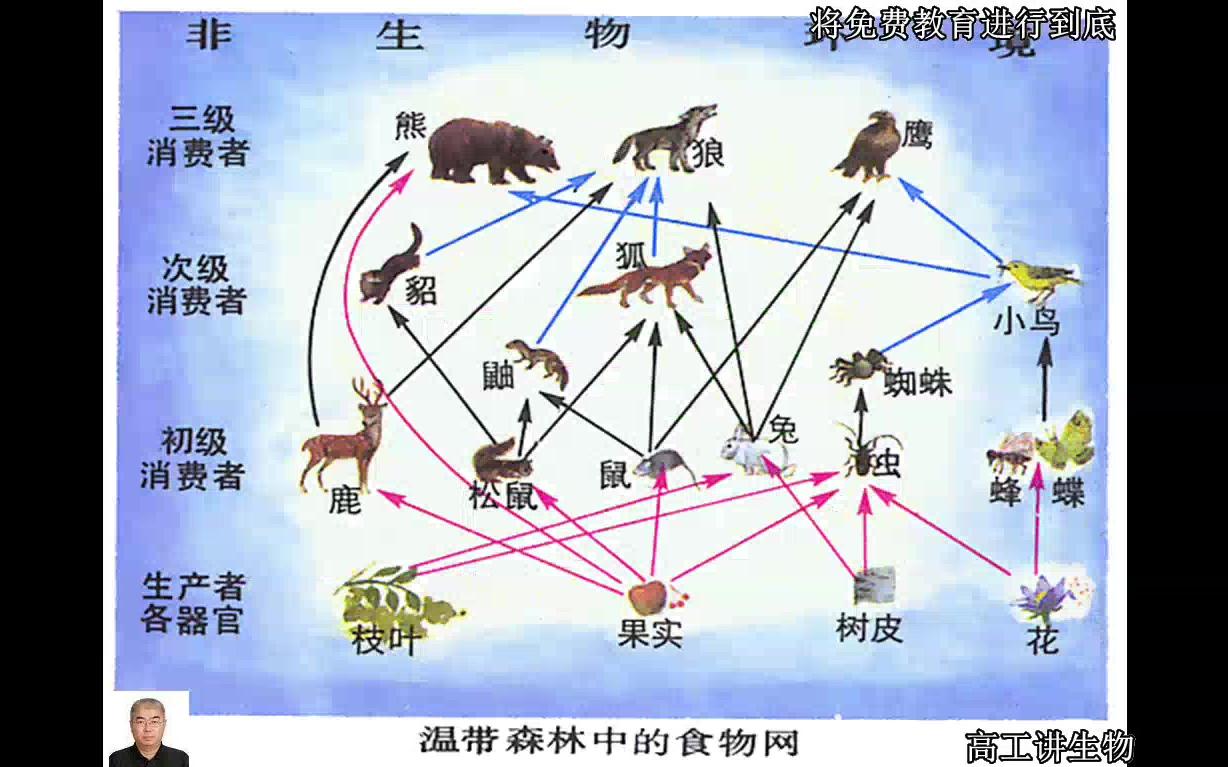 高工讲生物高一生物1必修高中生物分子与细胞