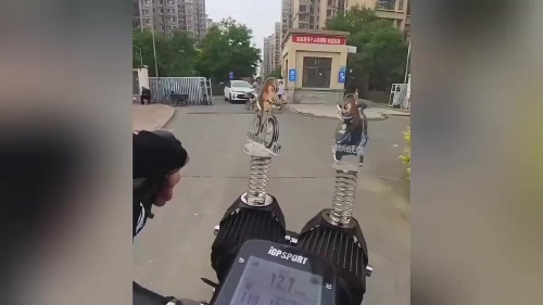 男子骑车在小区门口拐弯处与电瓶车相撞你们说到底是谁的责任?