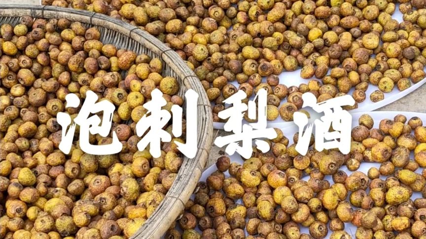 我和堂哥用500块钱,买了100斤刺梨泡酒,泡好后感觉物有所值