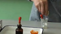 生物实验九:探究水果中是否含有维生素C_标清