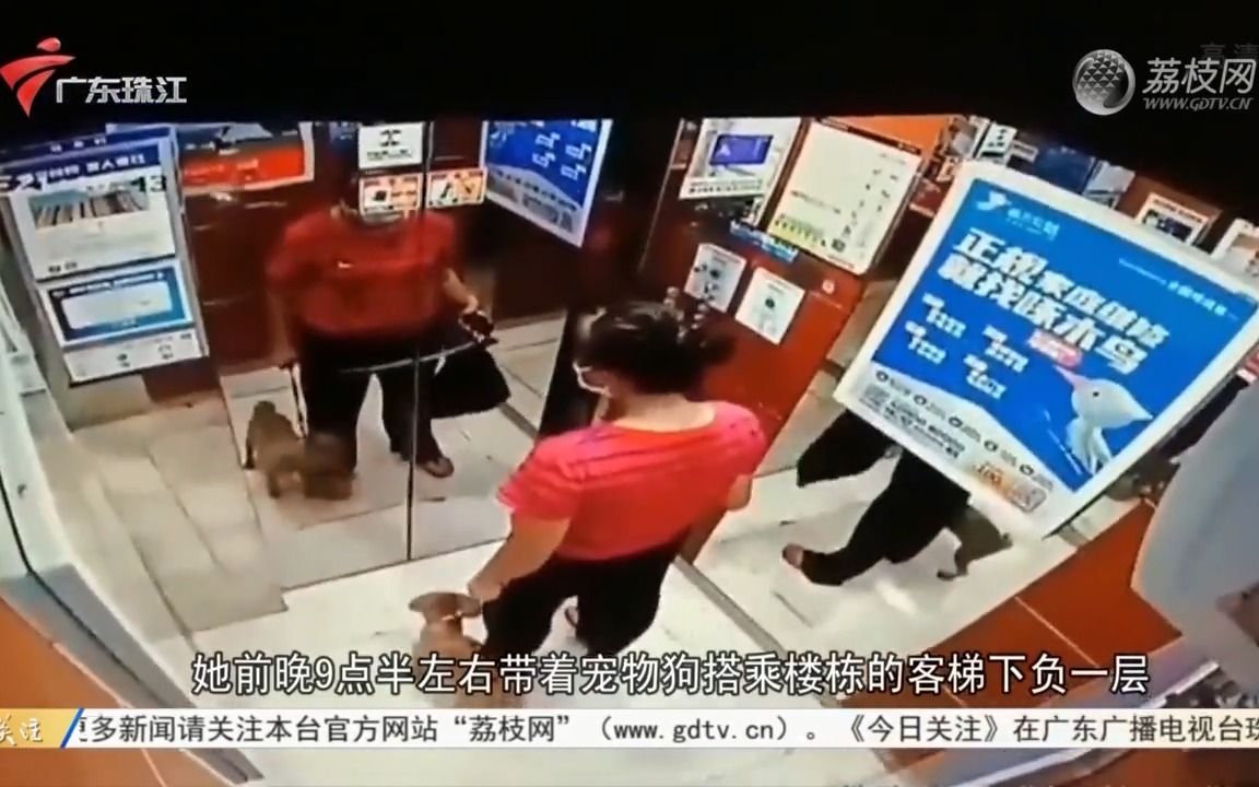 【粤语新闻】佛山:狗主冲入关门中电梯致宠物狗死亡 业内人士提醒:...