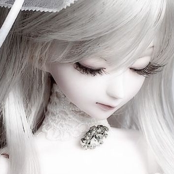 梵夏问月 