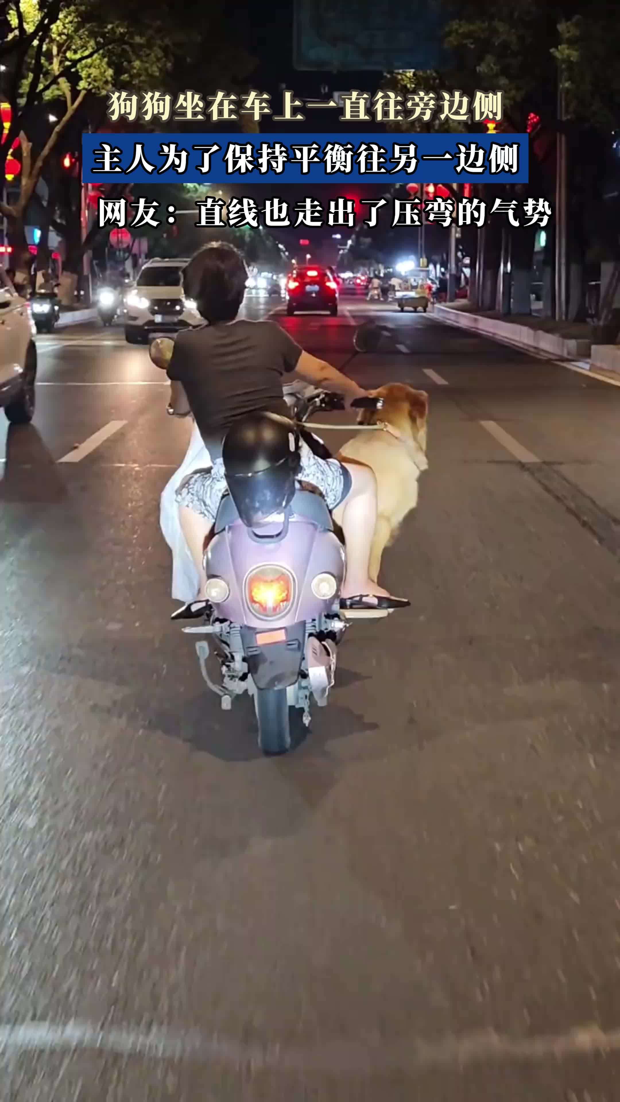 狗狗坐在车上一直往旁边侧,主人为了保持平衡往另一边侧