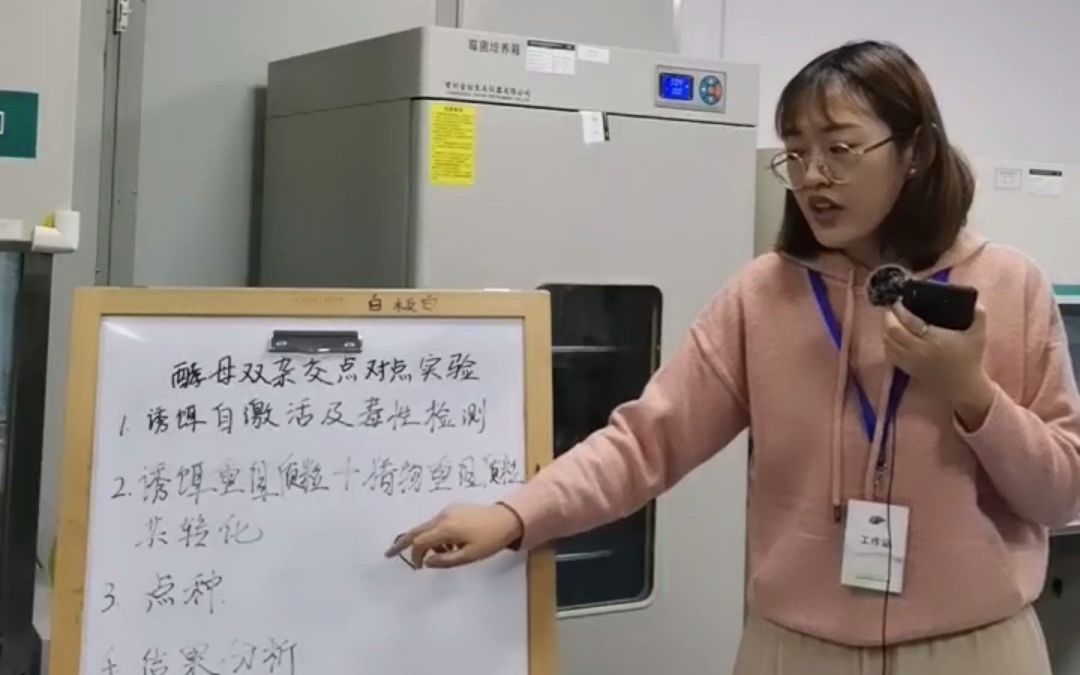 详解|酵母双杂实验教程,简单易上手