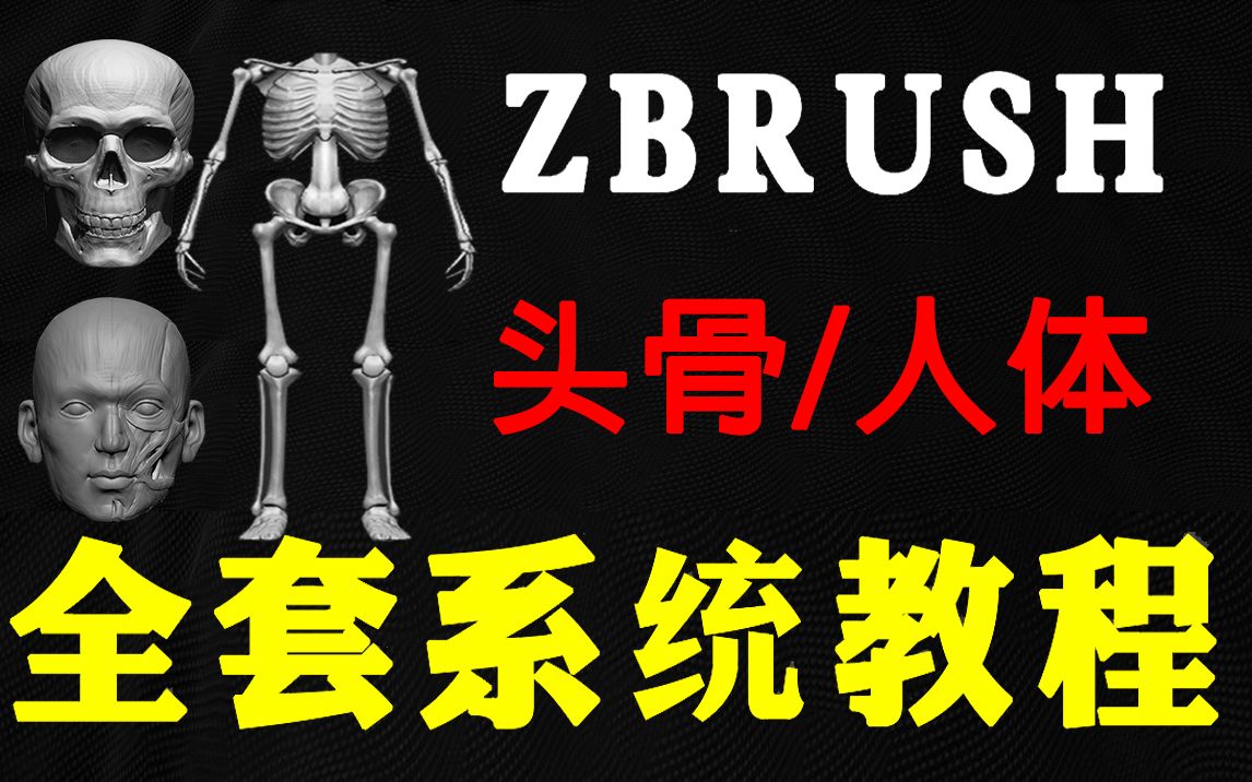 zbrush人体骨骼结构雕刻必学基础教程,从零开始掌握人体的骨骼结构
