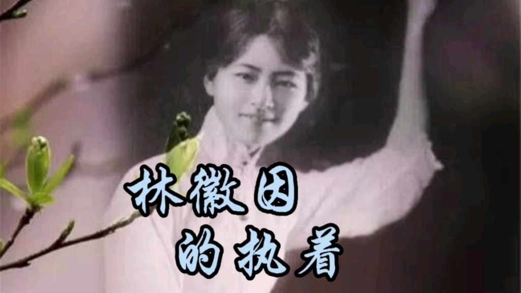 林徽因在建筑上,执着了一辈子