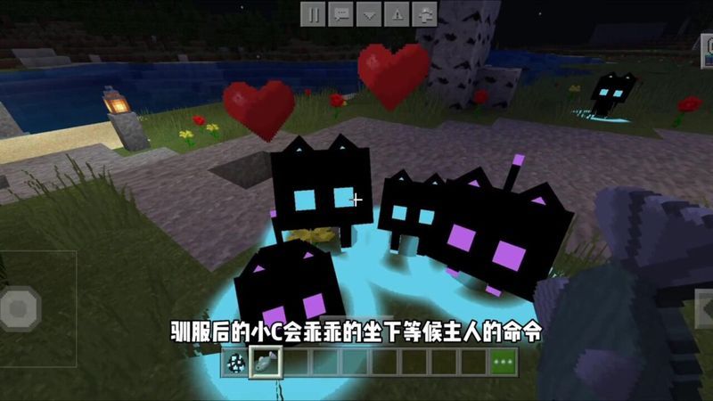 我的世界:超有意思模组,整好友陷阱,还有陪伴喵喵