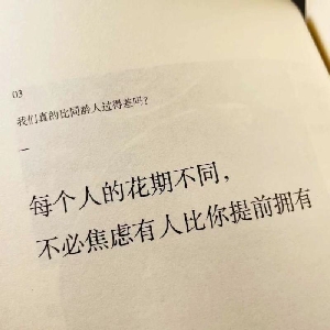 rin在努力 