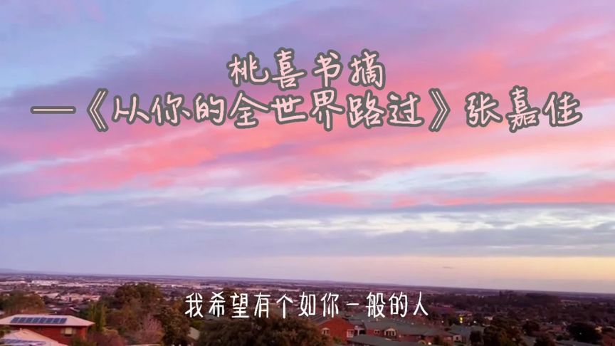 —《从你的全世界路过》张嘉佳 经典语录 桃喜书摘