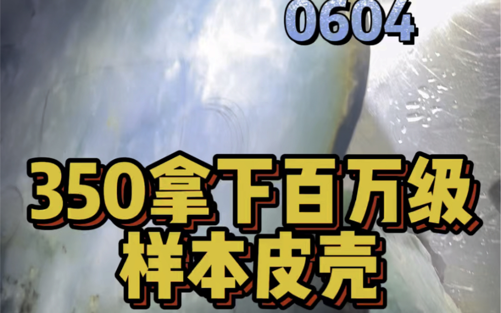 350拿下百万级翡翠原石皮壳