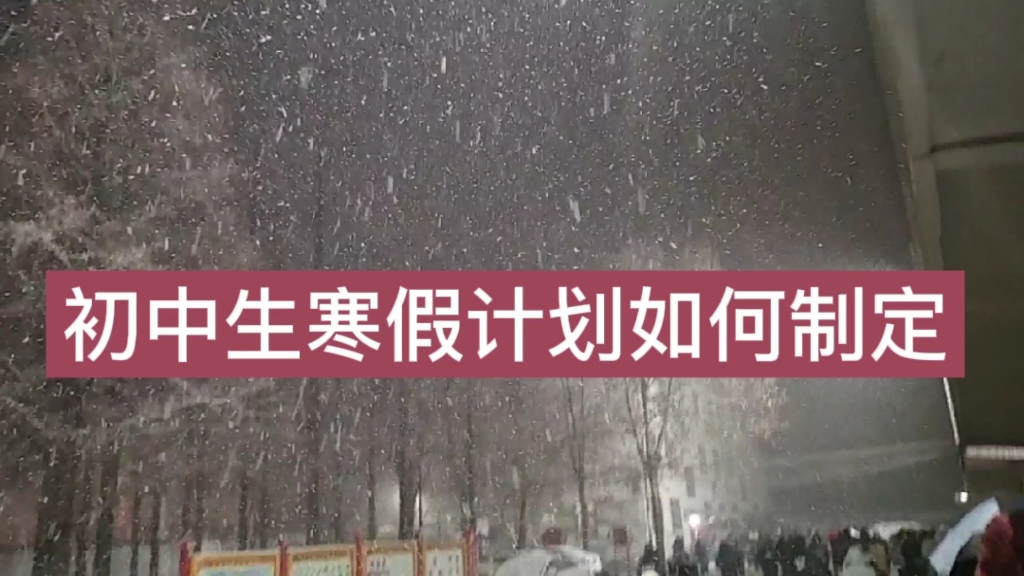 初中生寒假计划如何做?抓这2个方面就够了