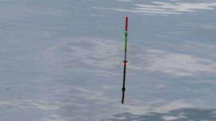 浮漂你用对了吗?常用浮漂的使用选择,原来这么简单!