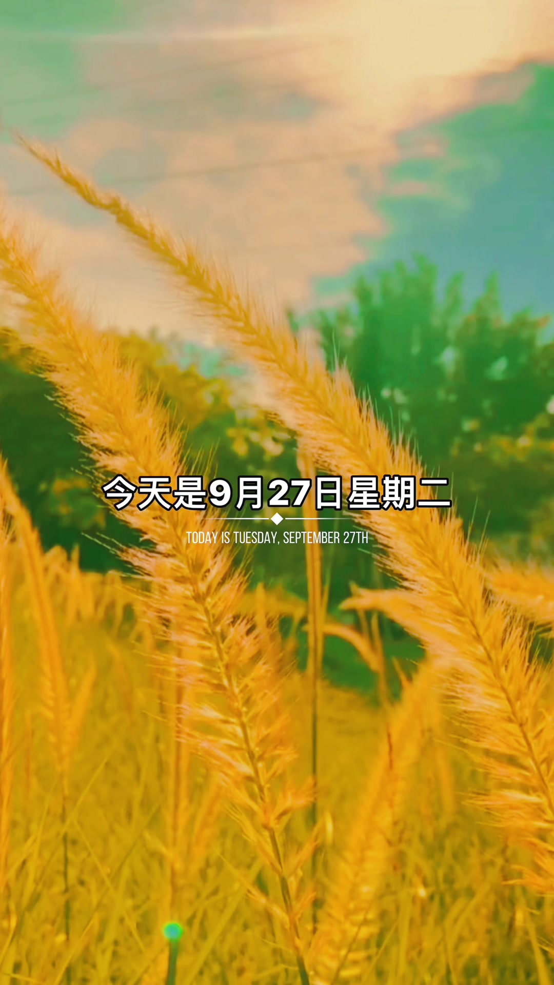 今天是9月27日星期二,离国庆还有3天,全国放假七天,但不包括我,我的...