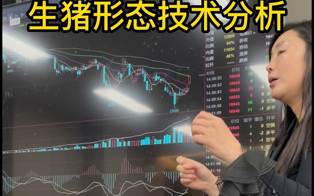 生猪形态技术分析;侯婷婷期货线下特训营;macd进场点精讲