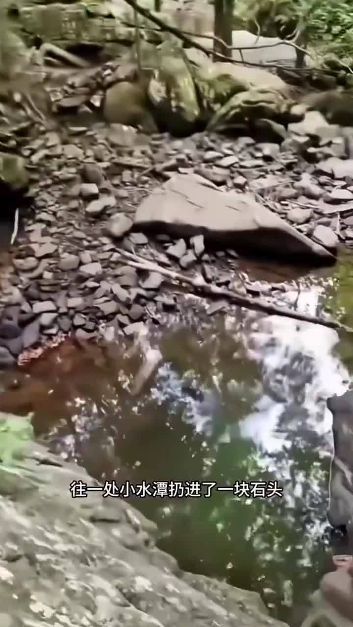 水也有表面张力,如同有弹性的膜