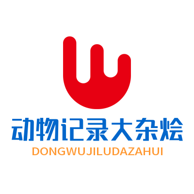动物记录大杂烩 