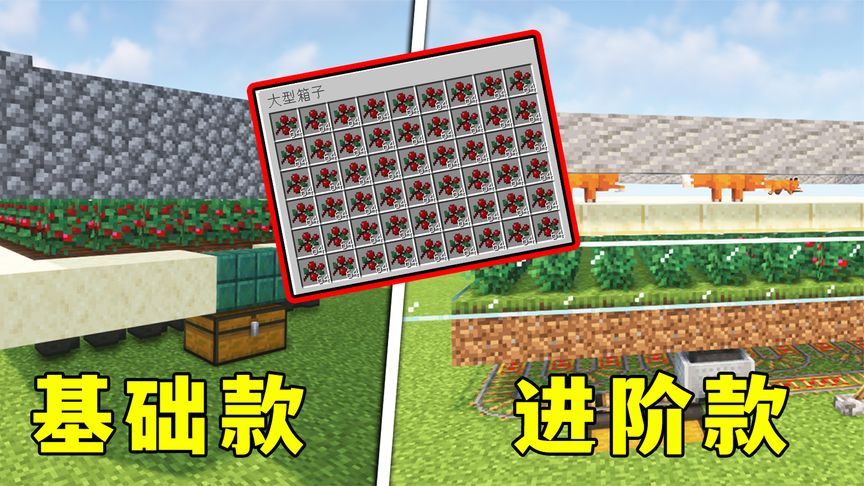 我的世界:利用狐狸实现浆果自由,双版本农场,还能换绿宝石