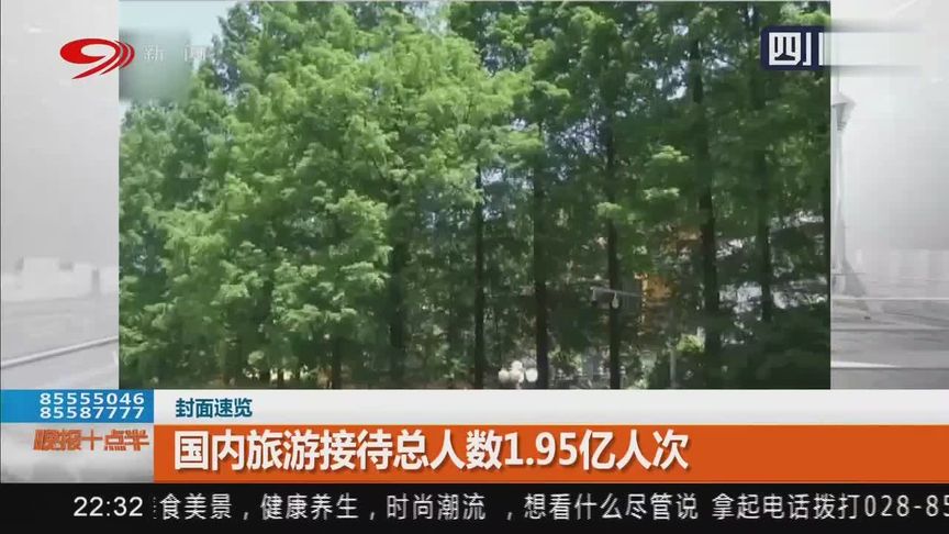 国内旅游接待总人数1.95亿人次