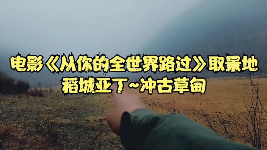 带你走进~电影《从你的全世界路过》取景地,稻城亚丁之冲古草甸