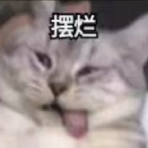 搞学习搞起脑壳疼 