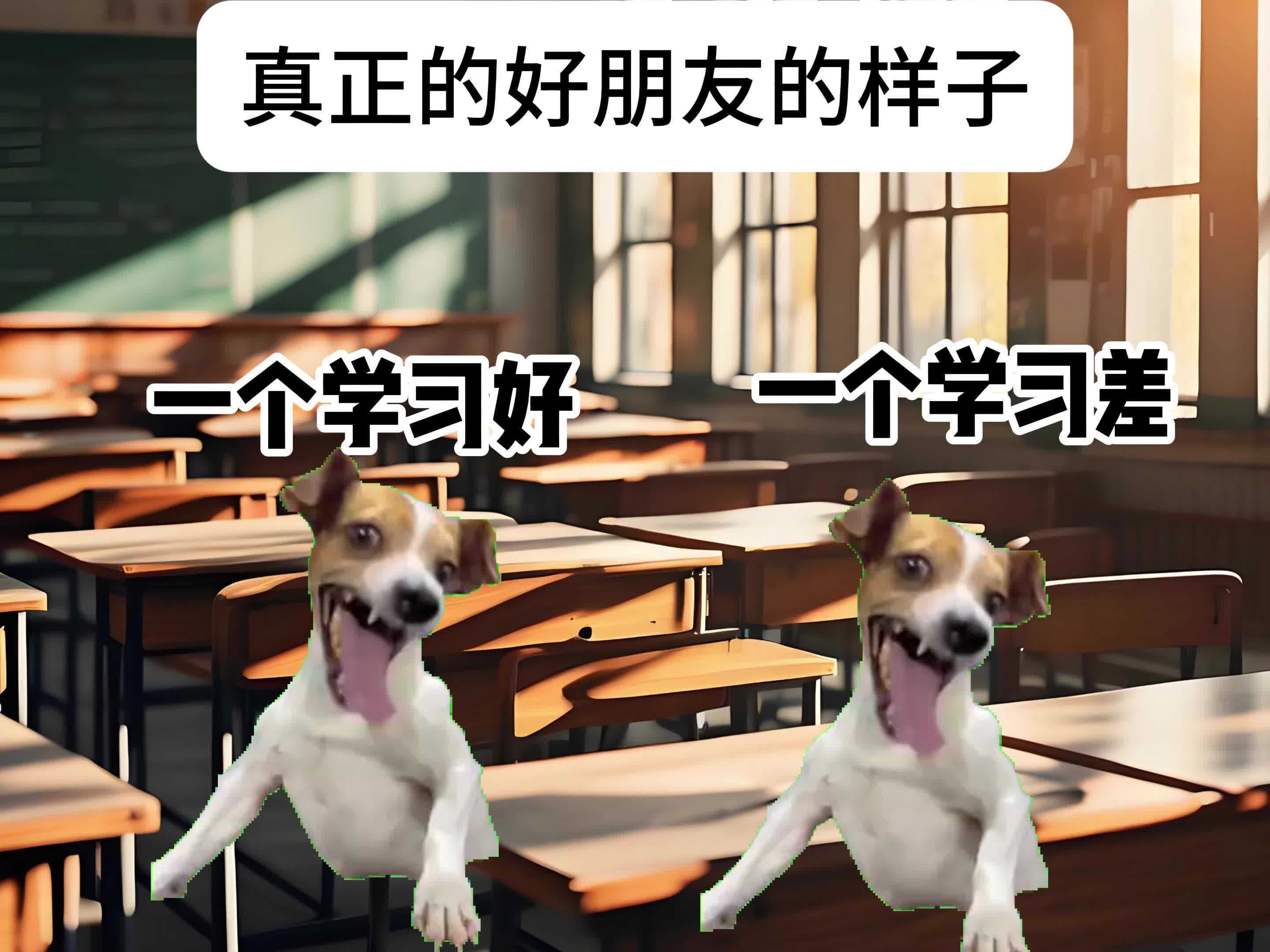 真正好朋友的样子#猫meme小剧场 #剧情演绎 #抖音原创动画