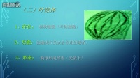 细胞器——系统内的分工合作