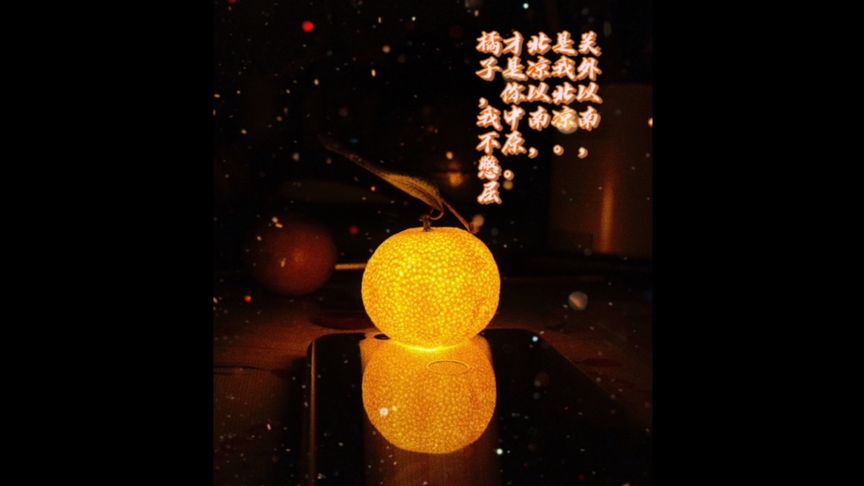 橘生淮南则为橘,生于淮北则为枳