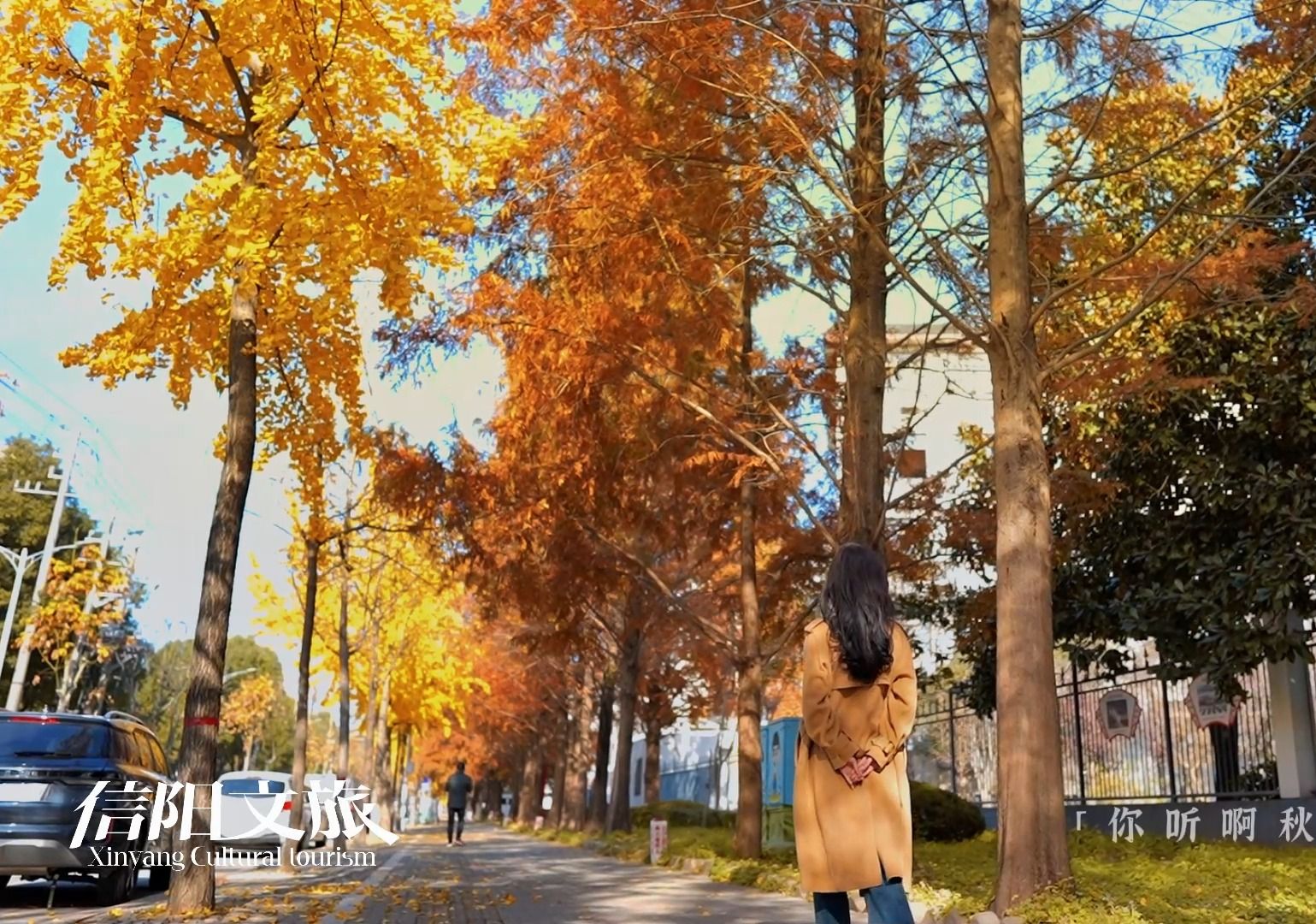 初冬暖阳万物藏,岁月沉香悦时光。四季轮回,季节轮换,美好都将在冬天...