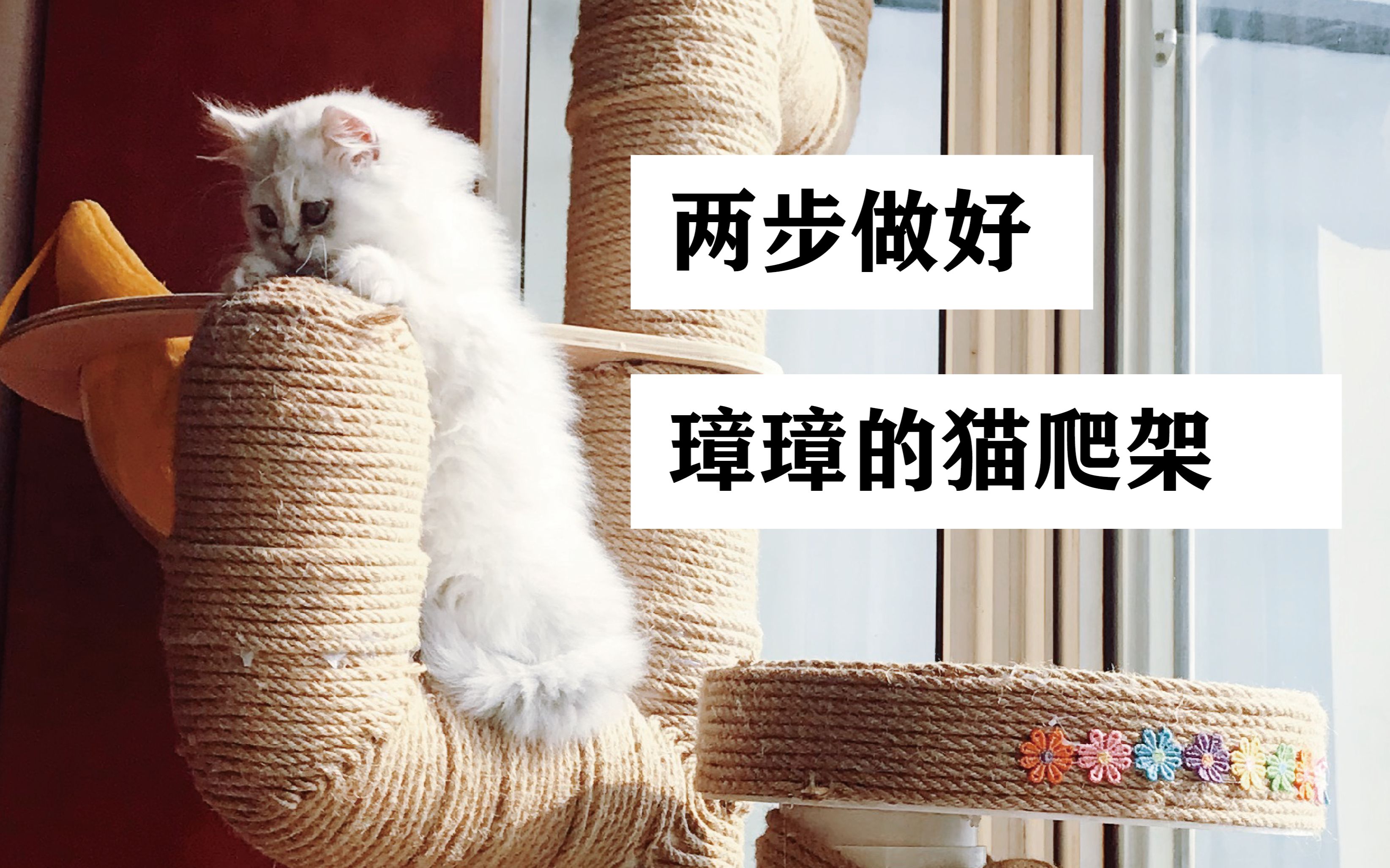 两步做好猫爬架(内附设计图纸)