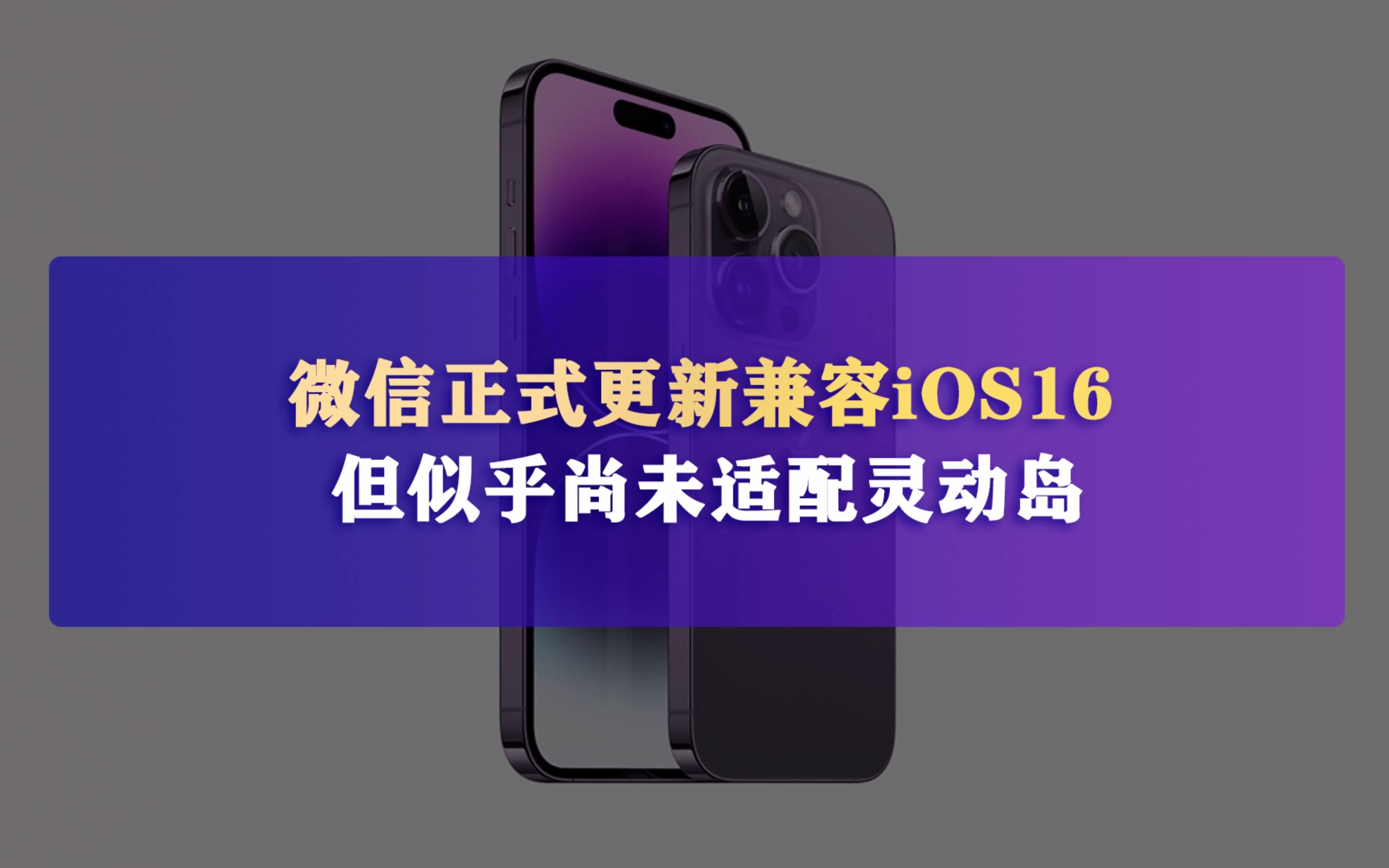 微信正式更新兼容iOS16,但似乎尚未适配灵动岛,主要修复了苹果 iOS ...
