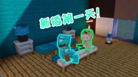 我的世界:新婚生活第一天,阿青和怕怕很激烈,菜霸安慰菜鸟