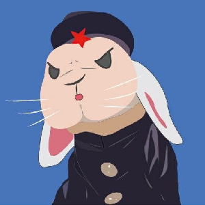 迷途中的大橘 