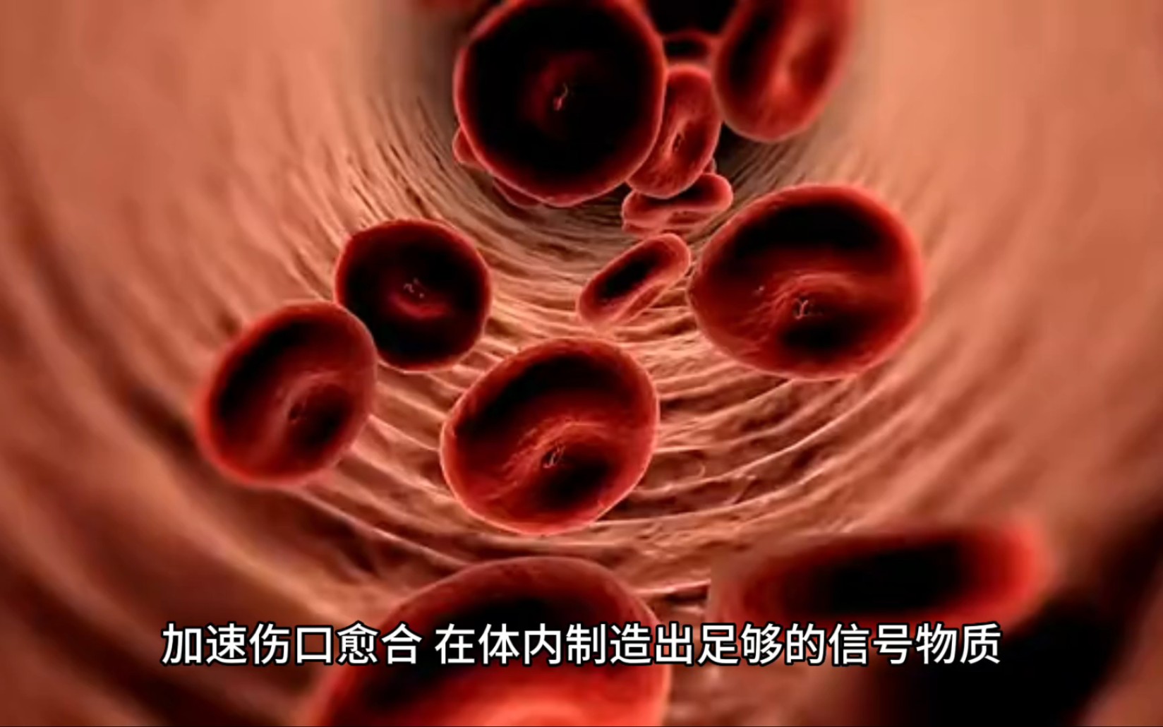 维生素B1的作用