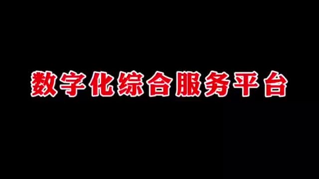 数字化综合服务平台
