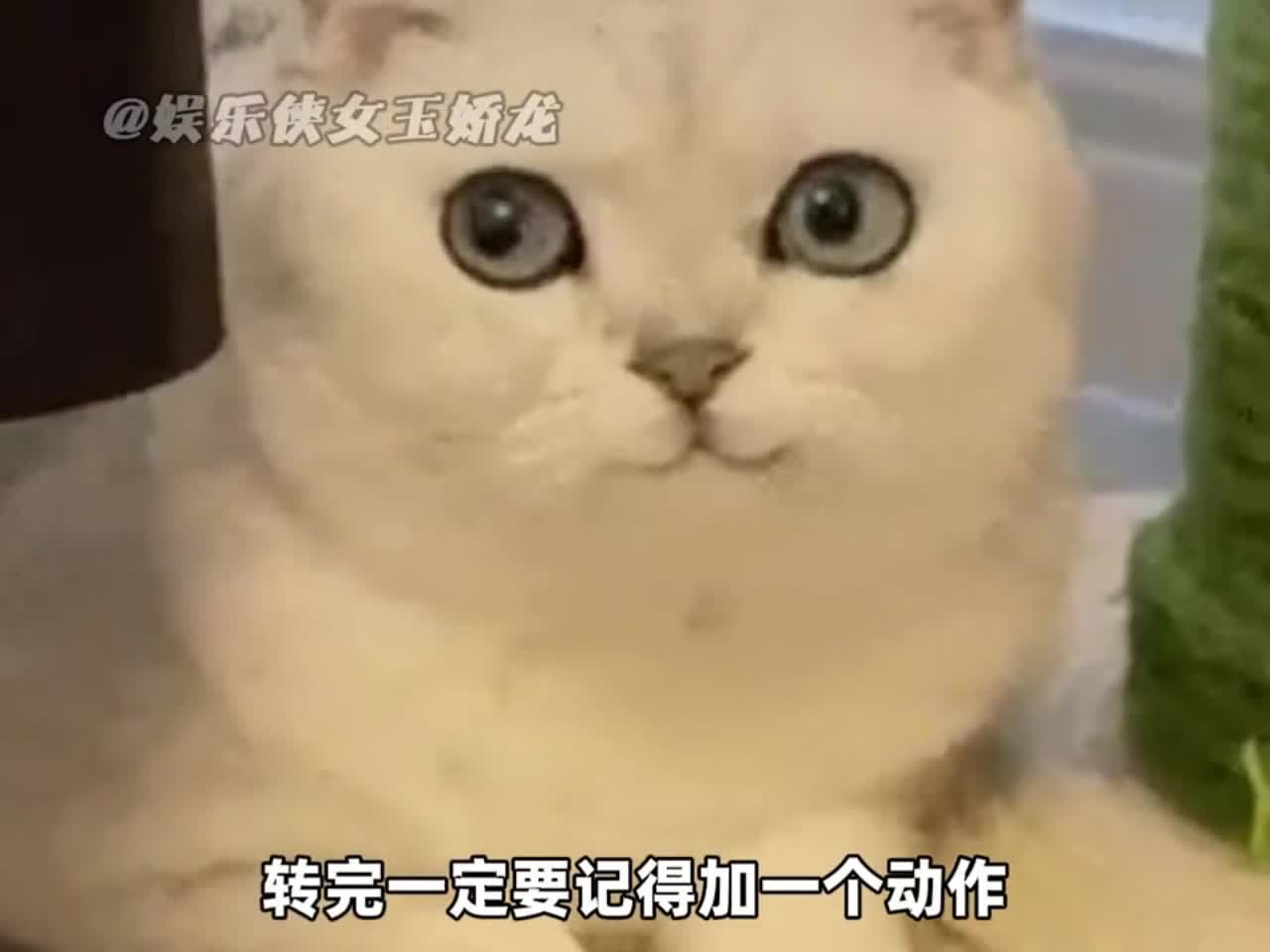 转账后记得申请电子凭证 微信 转账 学到了