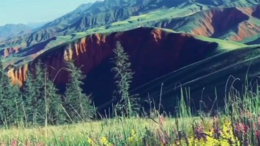 塔罗牌咨询和塔罗牌占卜的区别是什么?