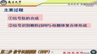微课信号肽