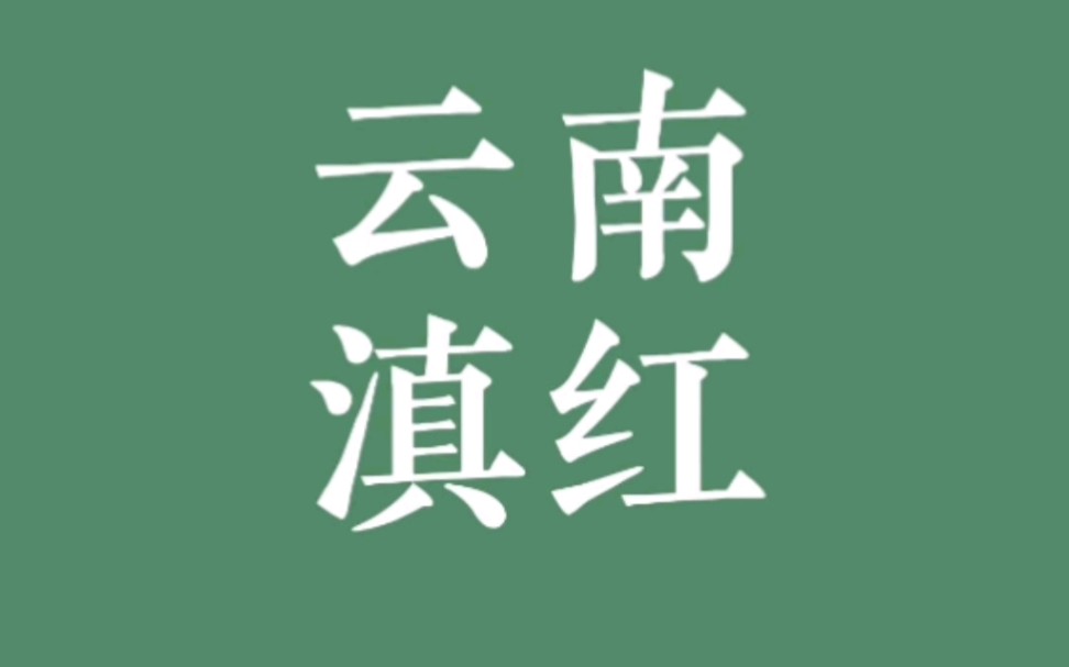 每天认识一个茶叶品牌:云南滇红