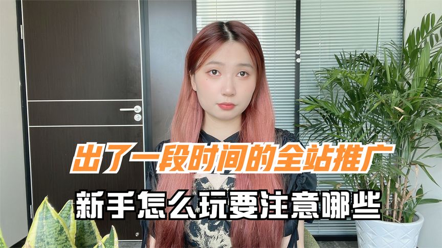 多多出了一段时间的全站推广,新手怎么玩要注意哪些,给大家讲讲
