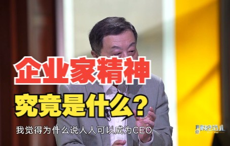 企业家精神究竟是什么?