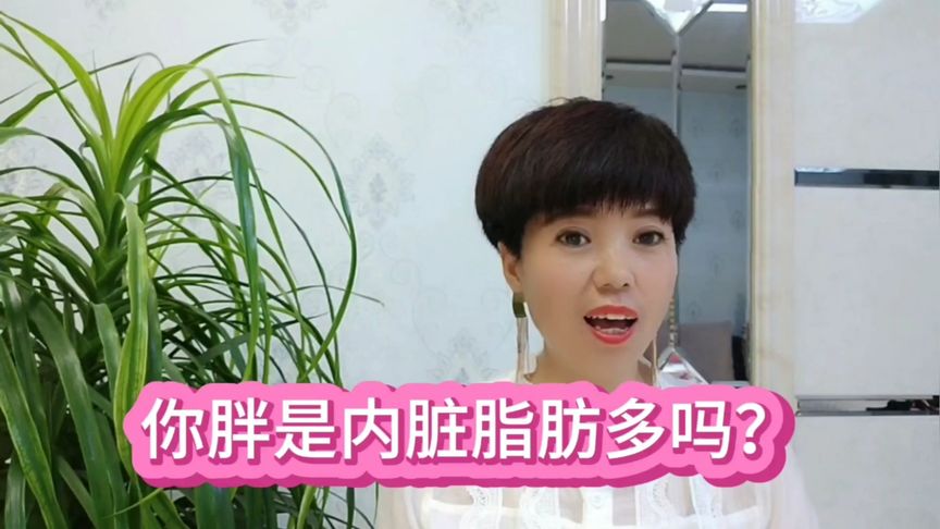 脂肪分为 内脏脂肪和皮下脂肪,你的胖属于哪种脂肪