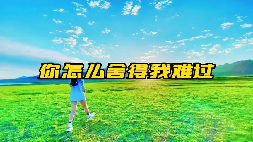 经典老歌《你怎么舍得我难过》原唱完整版