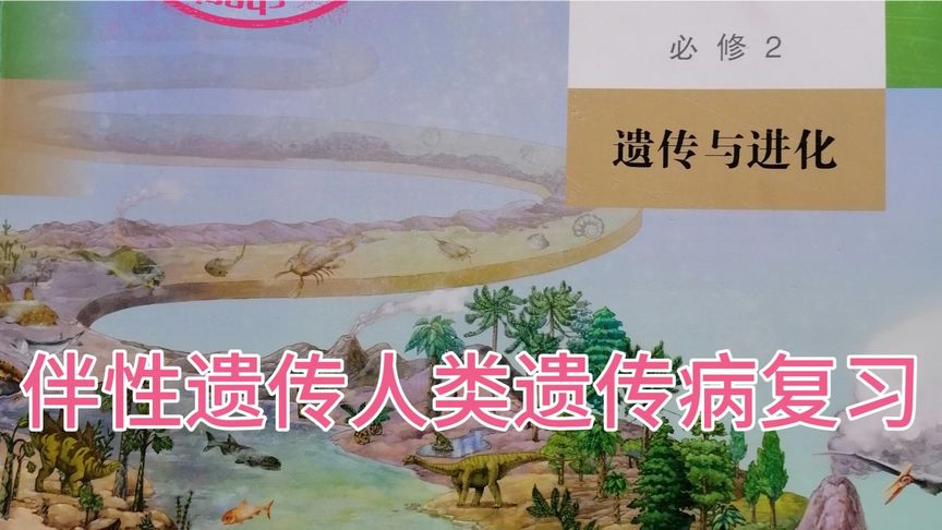 伴性遗传人类遗传病复习2