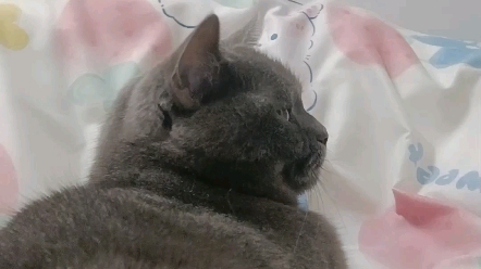 专业挠痒痒,某位很满意喔