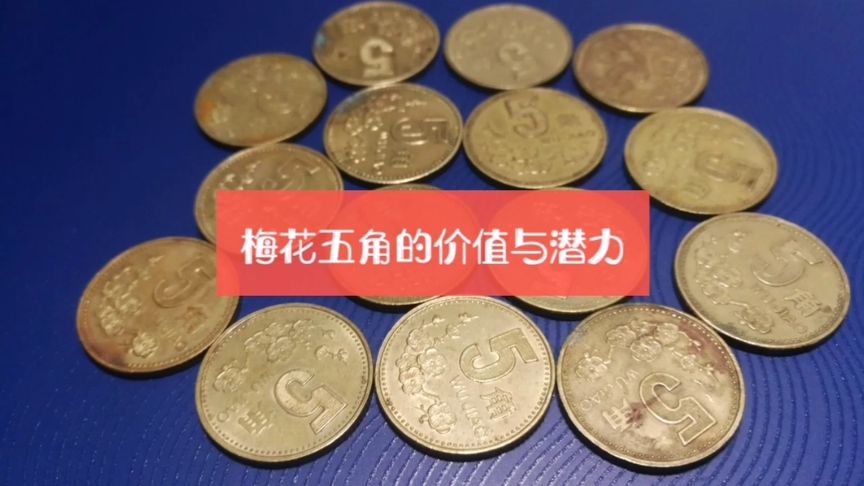 曾经随处可见的梅花五角硬币,如今价值不菲,你了解多少?