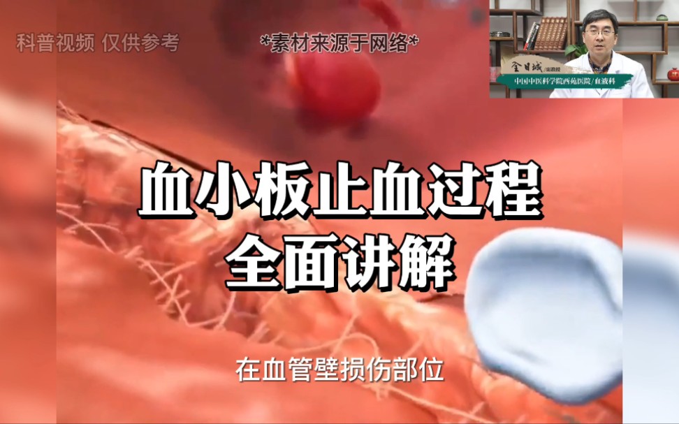 血小板对人体到底起着多么重要的作用呢?这个视频会让大家了解!...
