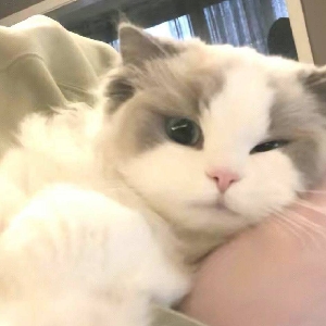 晚风吹过敲钟人 