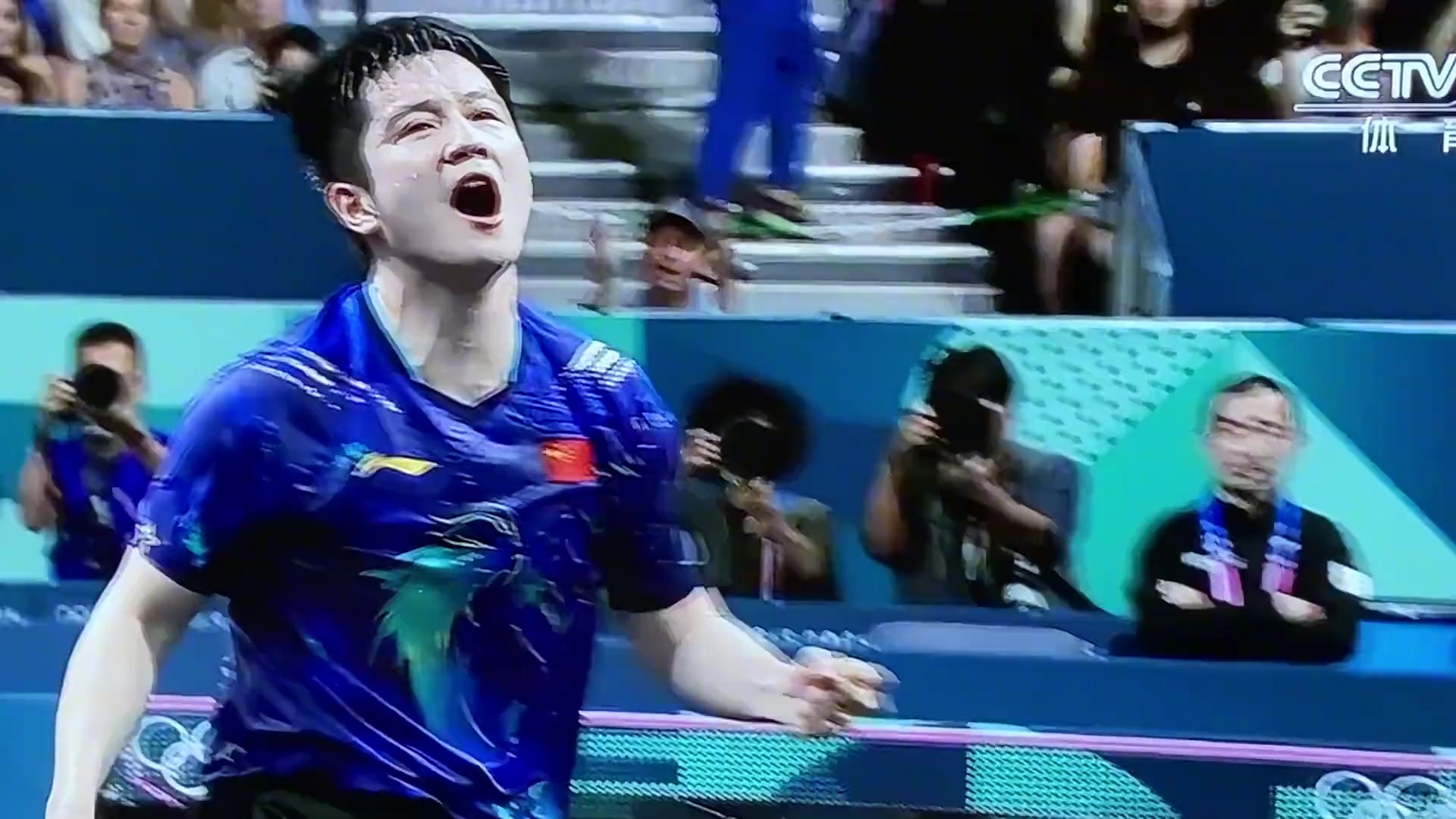 回顾巴黎奥运会樊振东的比赛