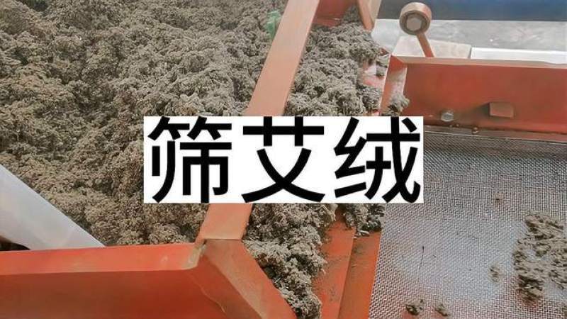 来看看今天的工作 筛艾绒