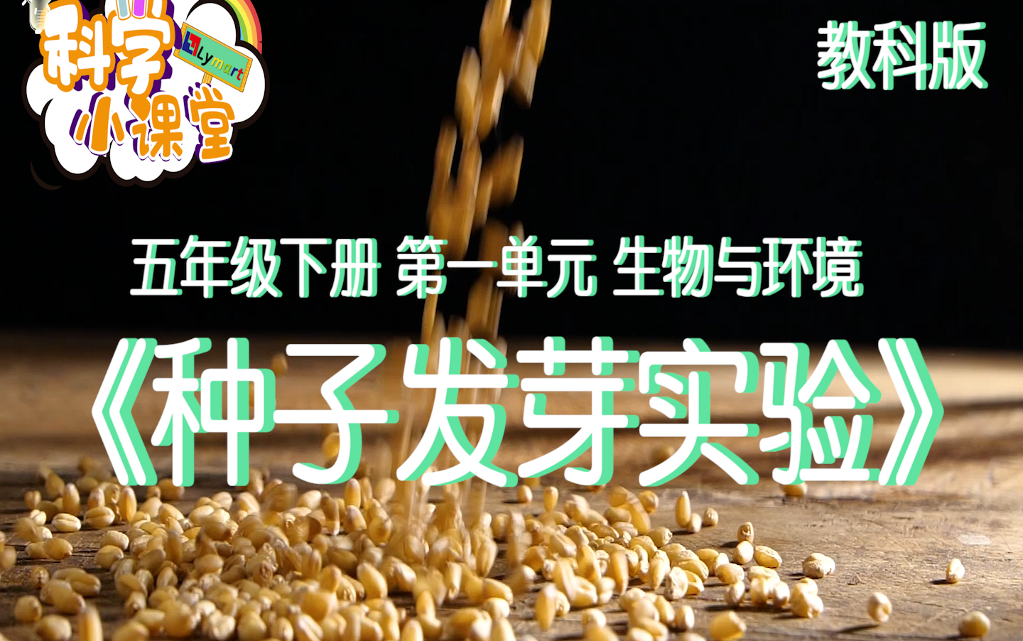 五年级下册 第一单元 种子发芽实验